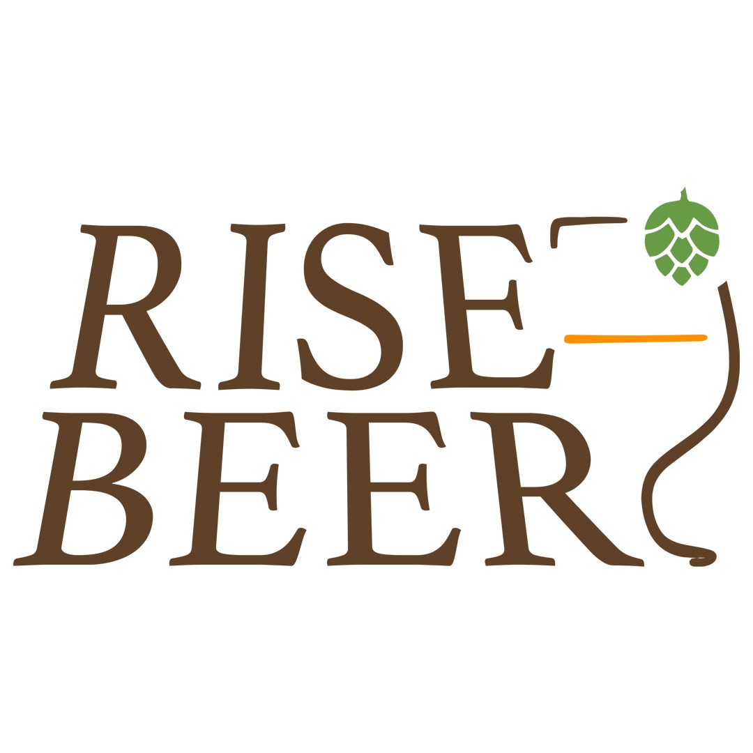Quer aprender sobre cervejas? Conheça a Rise Beer - Gastronominho