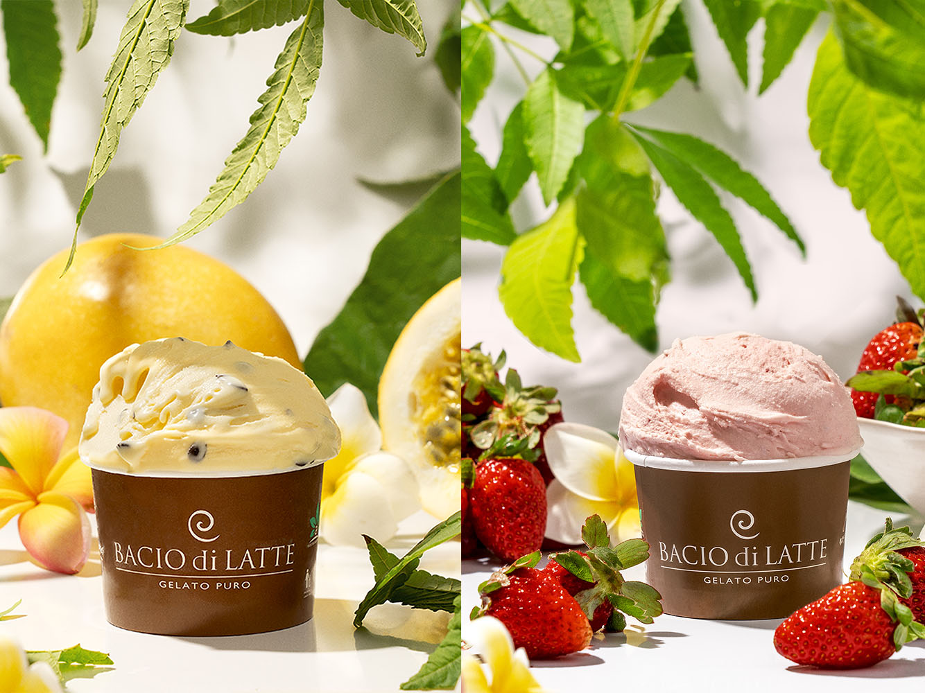 Conheça os Sabores de Verão da Bacio di Latte