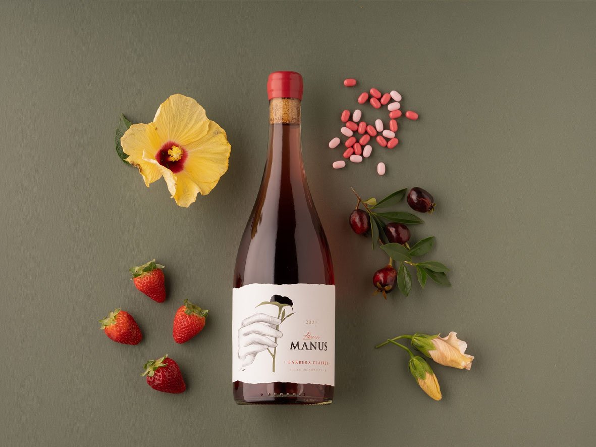 Vino Verace amplia o portfólio com novas marcas e diversidade