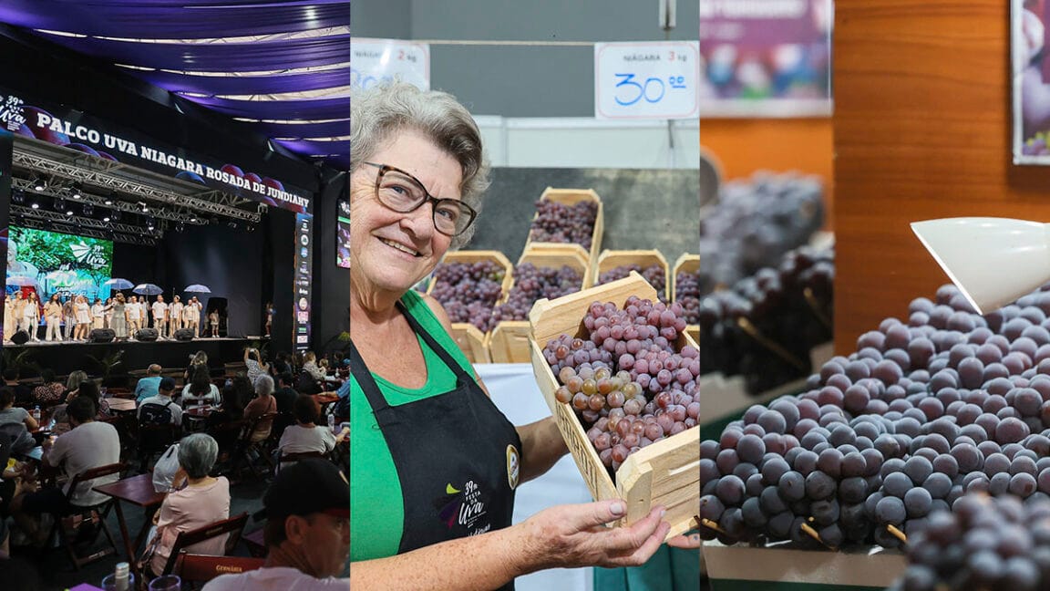 Miles Wine & Jazz Bar cria o seu rodízio de vinhos