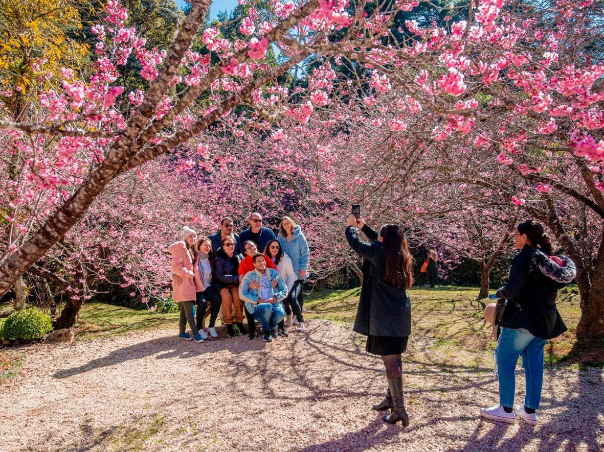 Campos do Jordão promove 54ª Festa da Cerejeira com atrações culturais ...