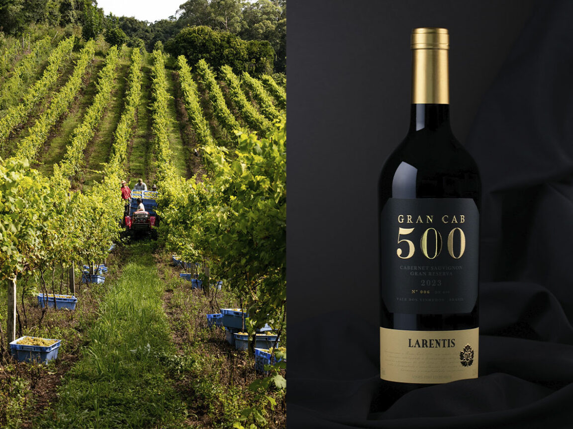 Larentis apresenta nova safra do GRAN CAB 500